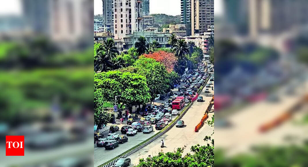 Breach Candy: Breach Candy In A Jam Due To U-turn To Take Interchanger ...