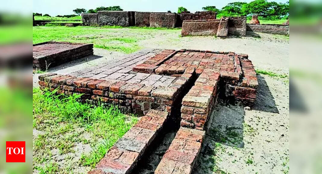 Lothal's Indus Valley dockyard gets 21st century town development plan ...