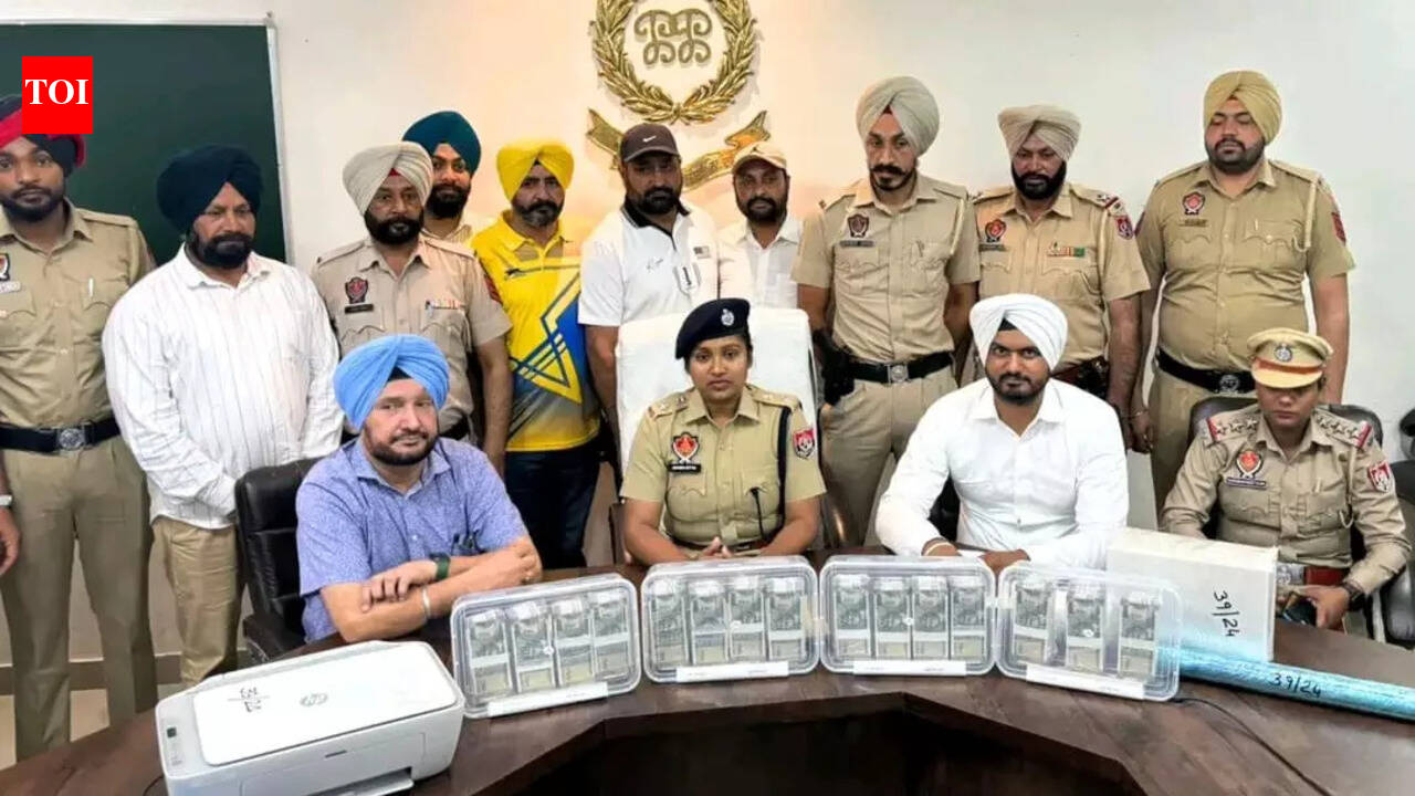 Fake Indian currency seized in Batala | India News - The Times of India