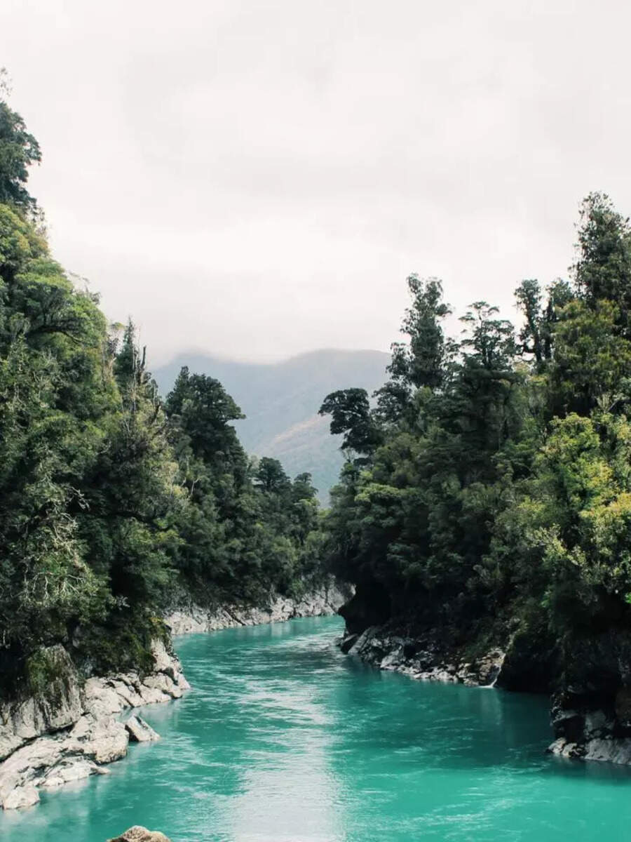 Top 10 Longest Rivers In The World | Times Now