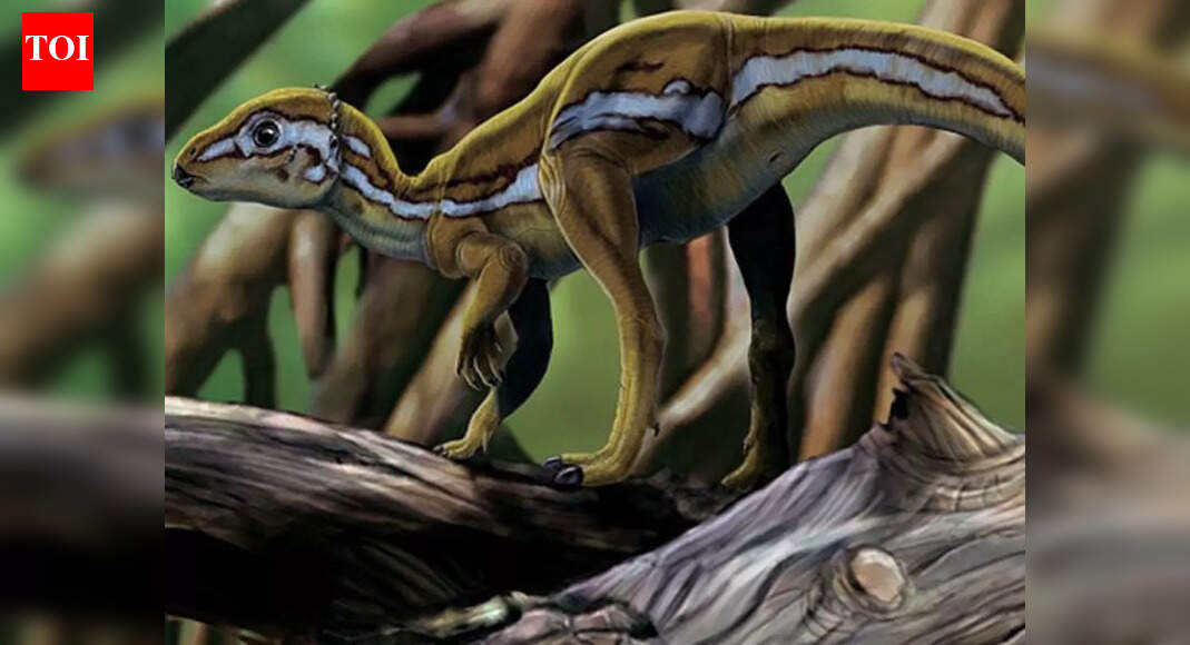 7 smallest dinosaurs that ever lived