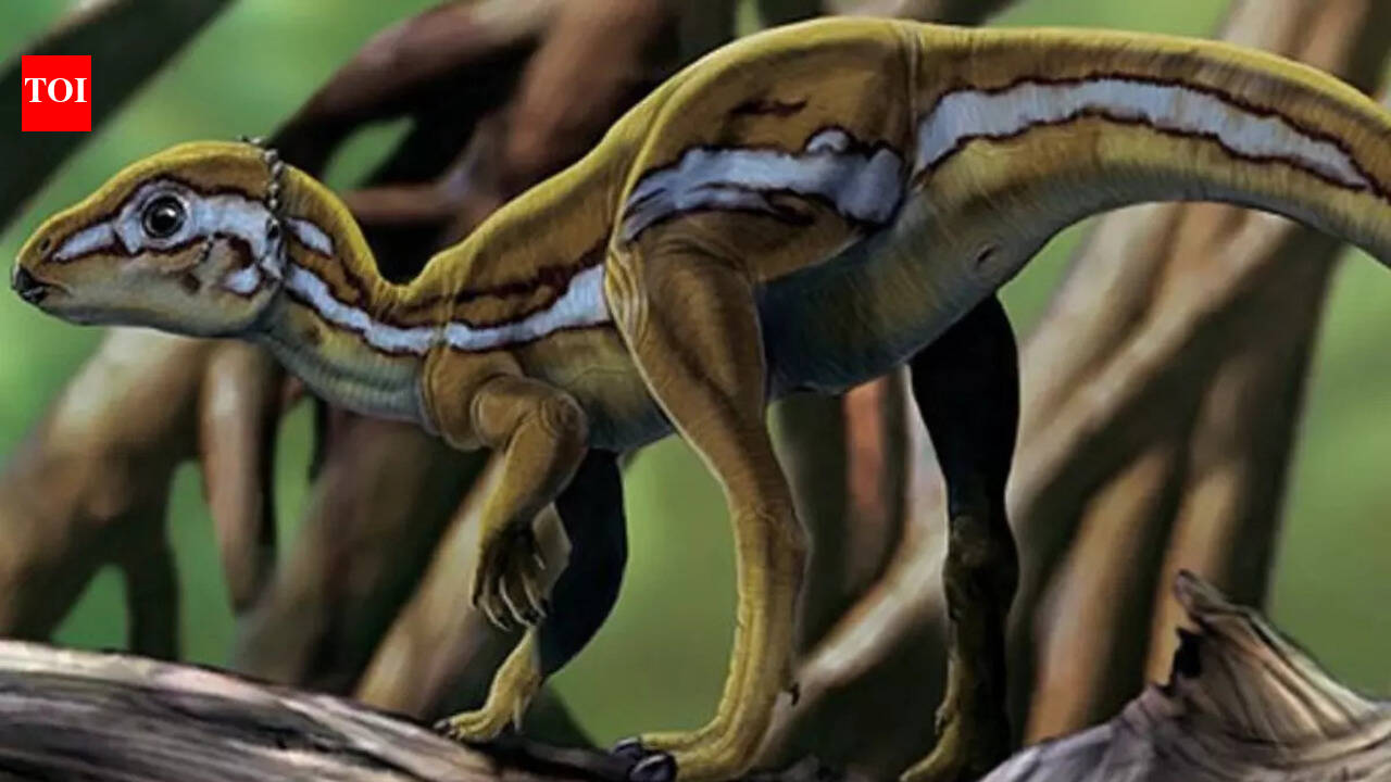 7 smallest dinosaurs that ever lived