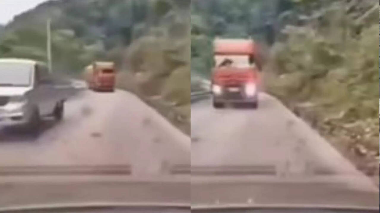 Viral Video Highlights How Swift Decision-Making And Manual Gearbox Saved Driver's Life- Watch!