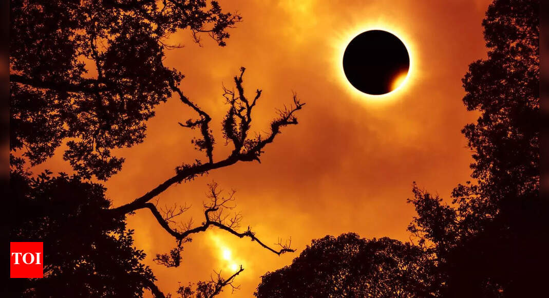 Solar Eclipse 2024: Is it safe to capture solar eclipse with your ...