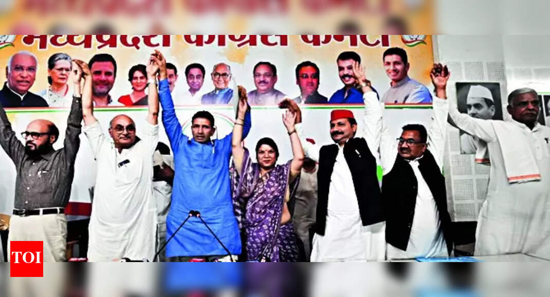 INDIA Bloc Leaders: India Bloc Leaders Meet, Review Its Preparedness ...