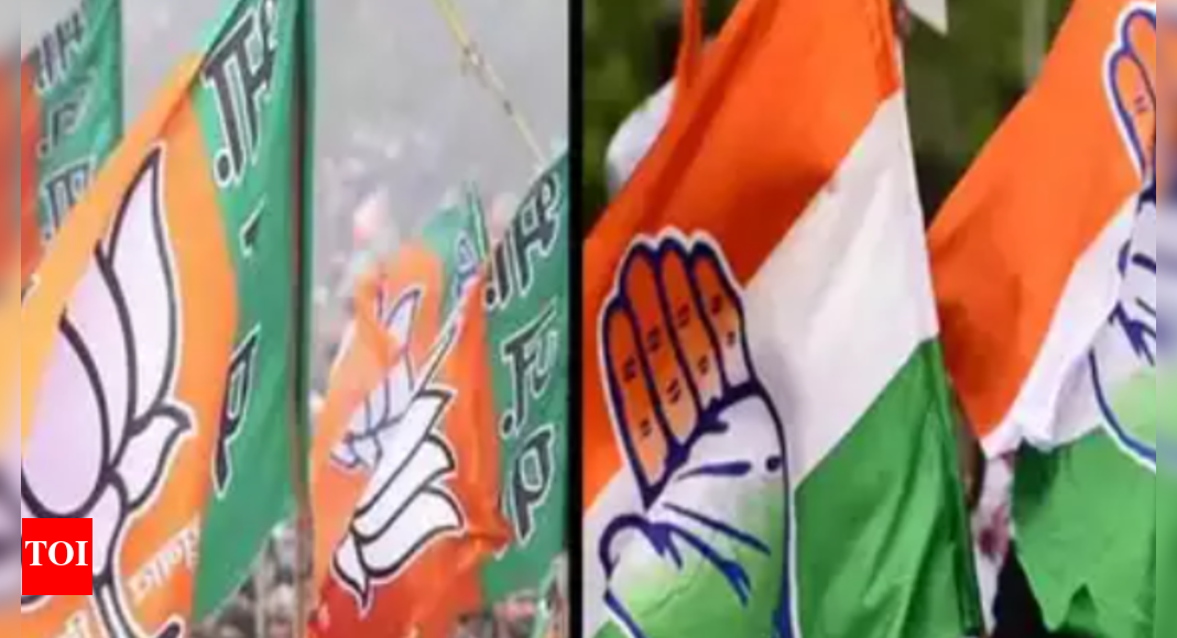 Haryana Elections 2024 Total Seats Schedule Candidates List Date Of