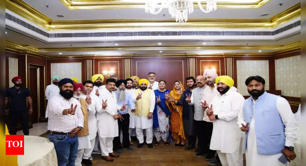 'AAP has to win Sangrur and Jalandhar at any cost' says Punjab CM Bhagwant Mann | Chandigarh ...