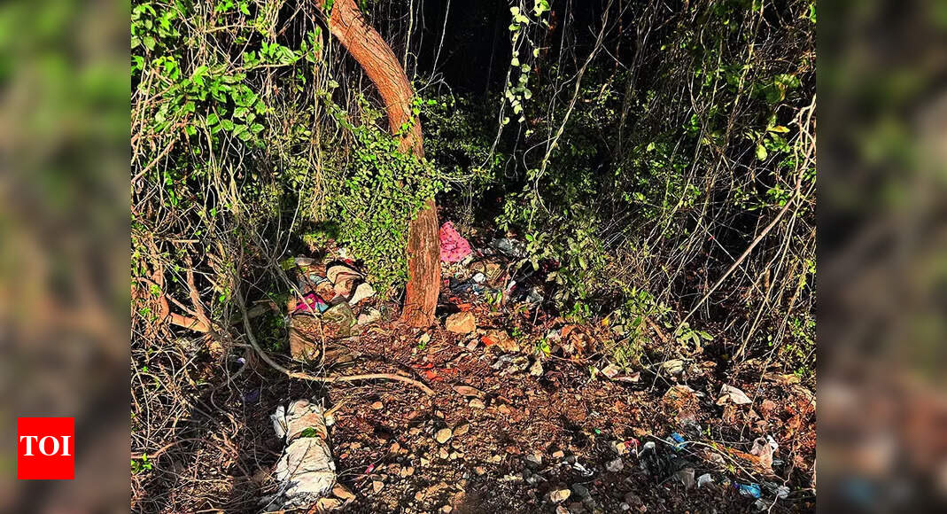 Garbage Dump: Garbage Dumped In Portions Of Vandalur Reserve Forest ...