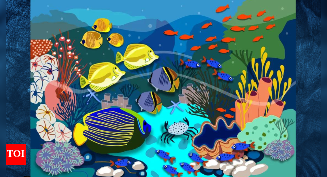 Optical illusion: Find the hidden seashell in under 7 seconds - Times ...