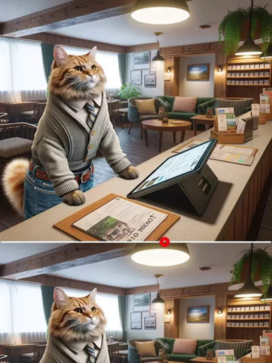 Spot The Differences: Solve This Puzzle in 60 Seconds or Less | Times Now