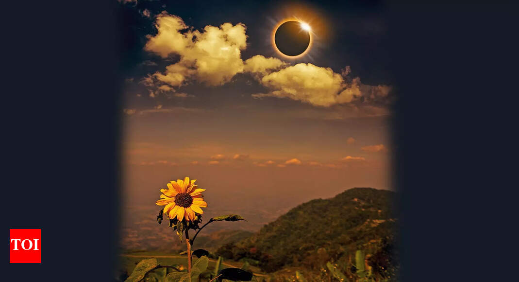 Total solar eclipse: Light that’s shed by darkness at noon - Times of India