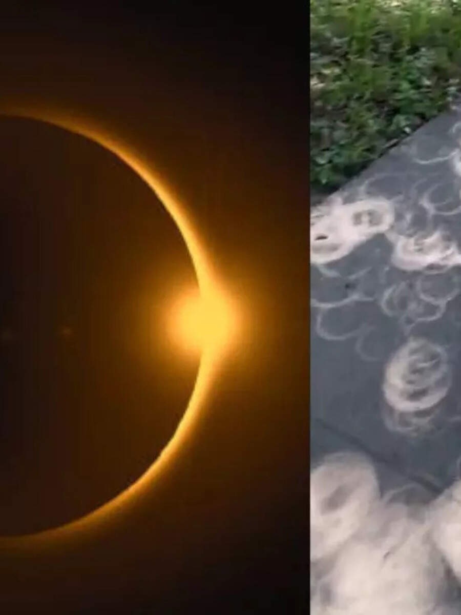 Solar Eclipse Spectacle: How Tree Leaves Transform into Mini Eclipse Viewers | Video | Times Now