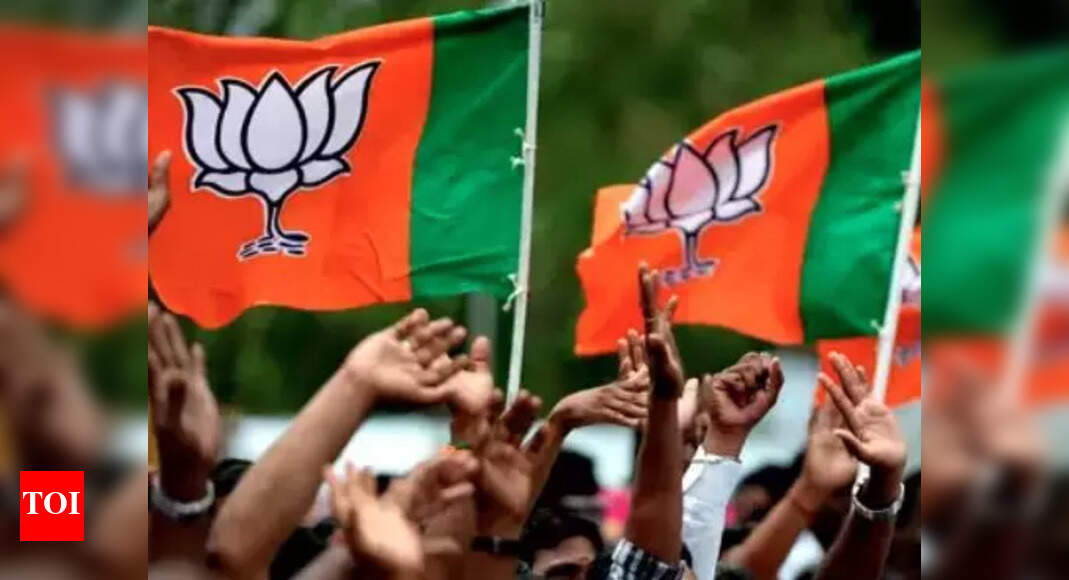 BJP Rejection Rate: Bjp Rejection Rate For Sitting Mps In State In Line ...