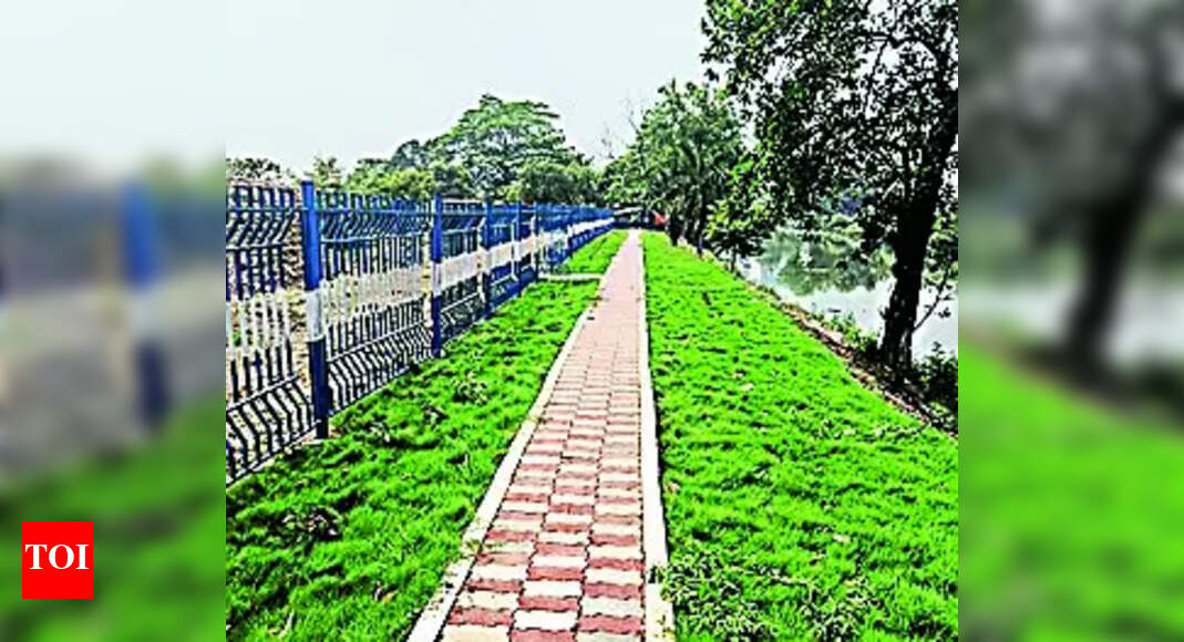 Walkways: Govt Plans Walkways Along City Canals | Kolkata News - Times ...