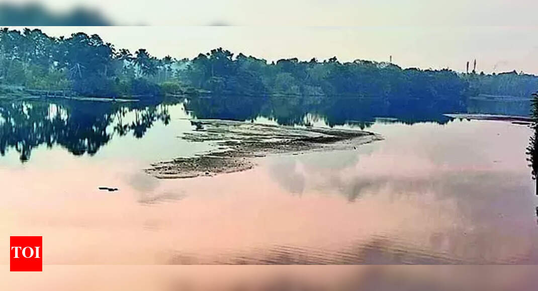 Periyar River: Riverbed Becomes Visible At Eloor, Leading To Concerns ...