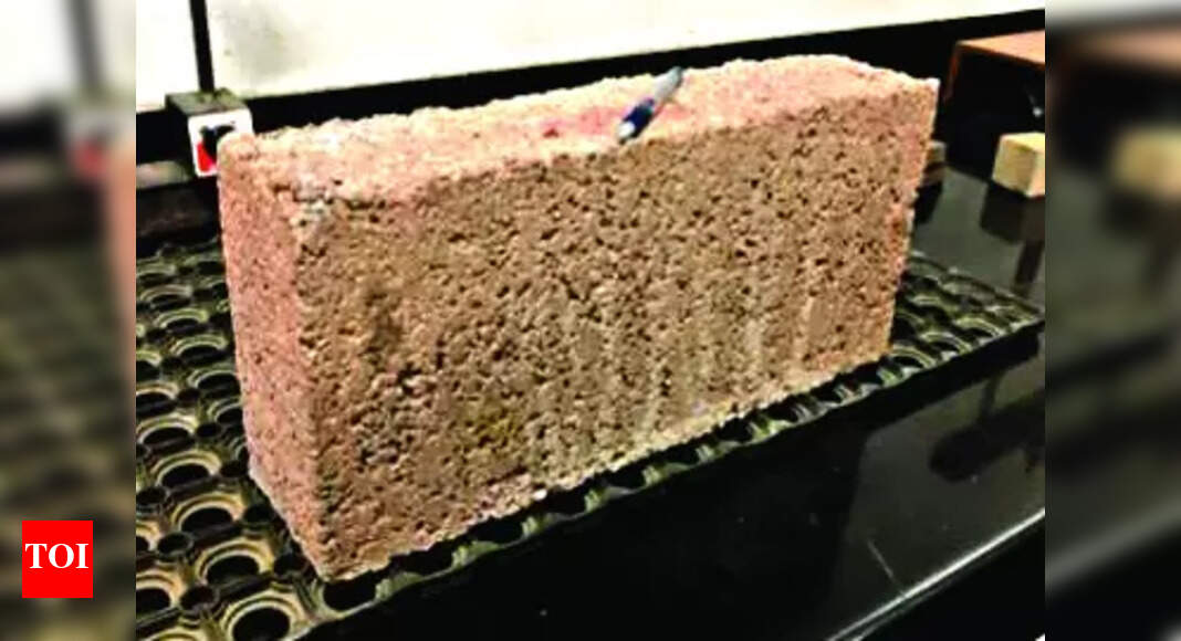 In a 1st, state dept's invention of bricks from waste gets patent | Goa ...