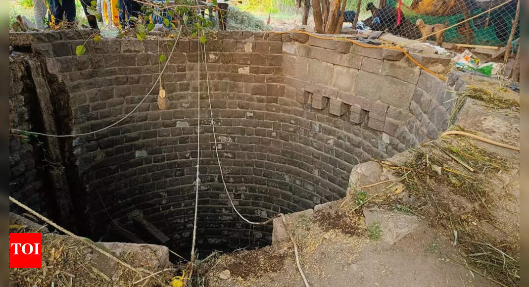 5 of Maharashtra family die in bid to save cat in abandoned well ...