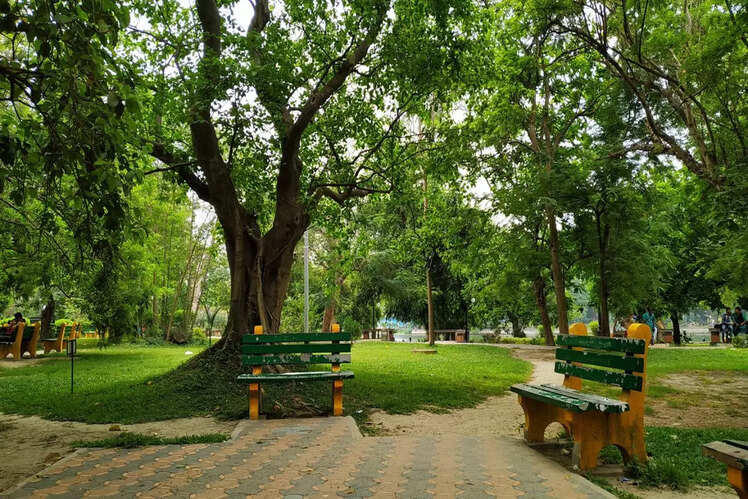Famous parks in Bengaluru for a weekend picnic and lots of fun | Times ...