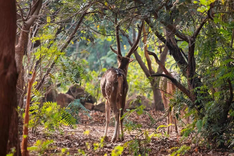 Famous parks in Bengaluru for a weekend picnic and lots of fun | Times ...