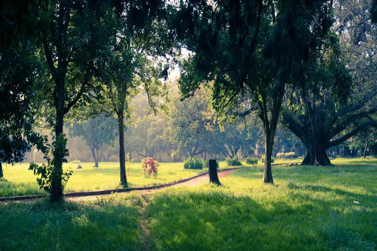 Famous parks in Bengaluru for a weekend picnic and lots of fun | Times ...