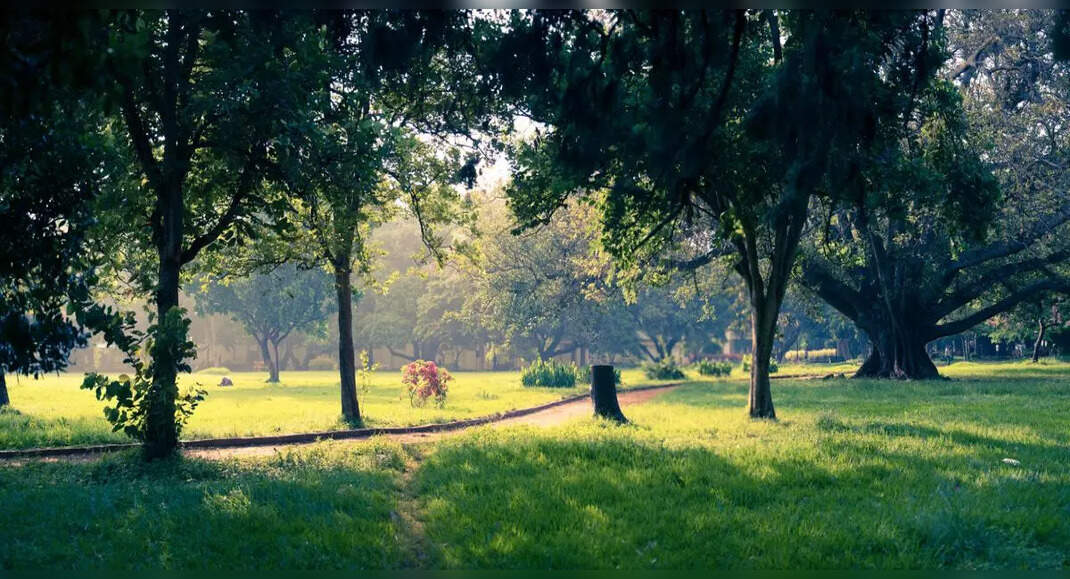 Famous parks in Bengaluru for a weekend picnic and lots of fun | Times ...