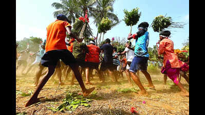 Bachelors' day out, dinya jatra tradition enthrals locals in ...