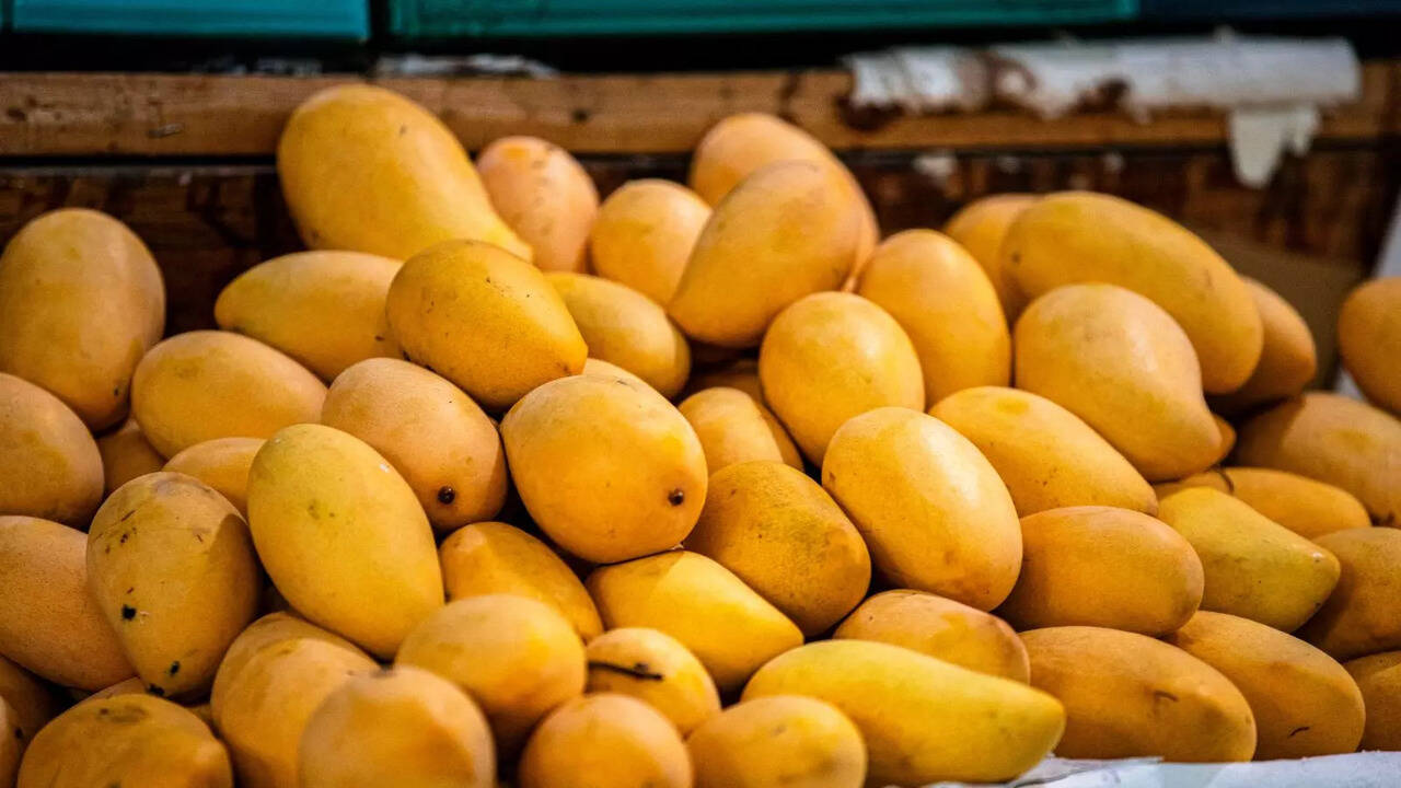 From Alphonso To Himsagar: Exploring India's 7 Most Beloved Varieties