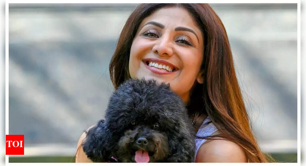 National Pet Day: Shilpa Shetty shares video of her fur babies Truffle ...