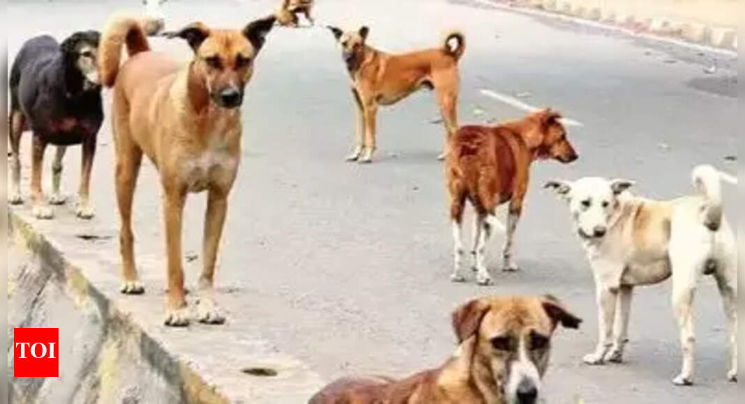 Stray Dogs: Strays Found Carrying Body Of Newborn | Hyderabad News ...