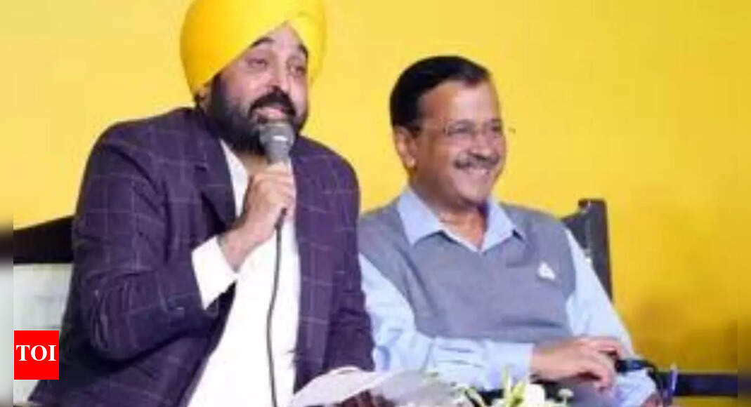 Punjab CM Bhagwant Mann to meet Kejriwal in Tihar on April 15 | India News - Times of India