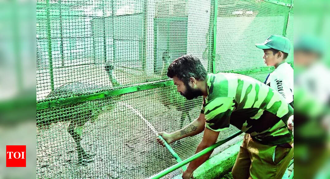 Geothermal Aeration: Zoo Animals Beat The Heat With Geothermal Aeration ...