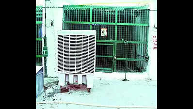 Geothermal Aeration: Zoo Animals Beat The Heat With Geothermal Aeration ...