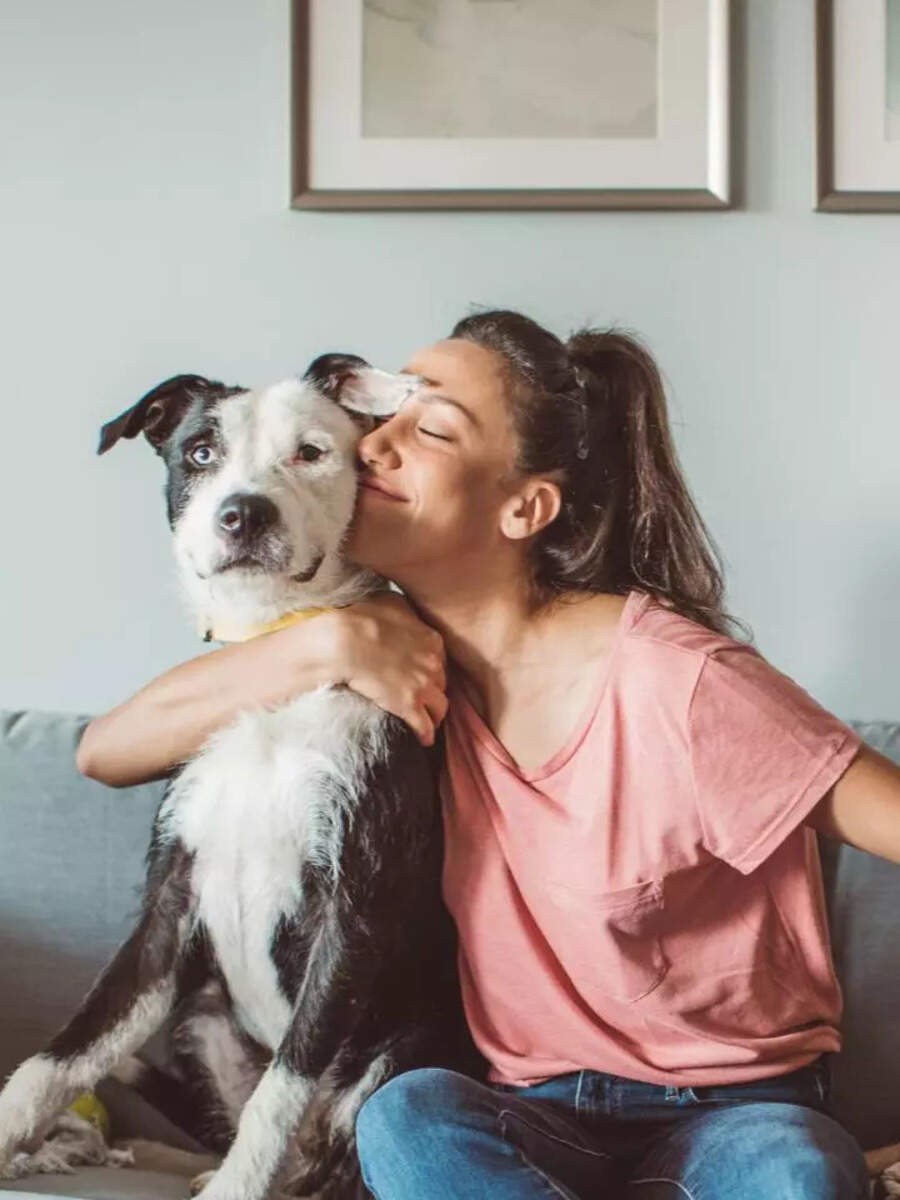 10 things every new pet parent should know | Times of India