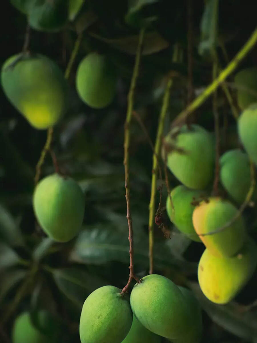 8 ways to add raw mango to your summer diet | Times of India