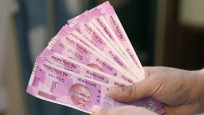 Currency in circulation rises despite Rs 2,000 note withdrawal - Times ...