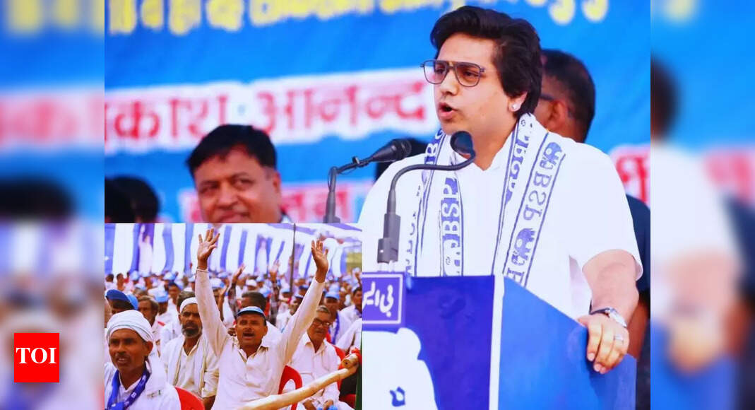 Make `Behenji' the PM, says Akash Anand | India News - Times of India