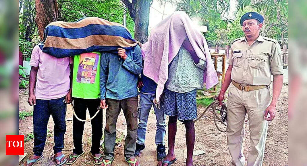Gang Rape: Minor Gang-raped On City Outskirts, All 5 Accused Held ...