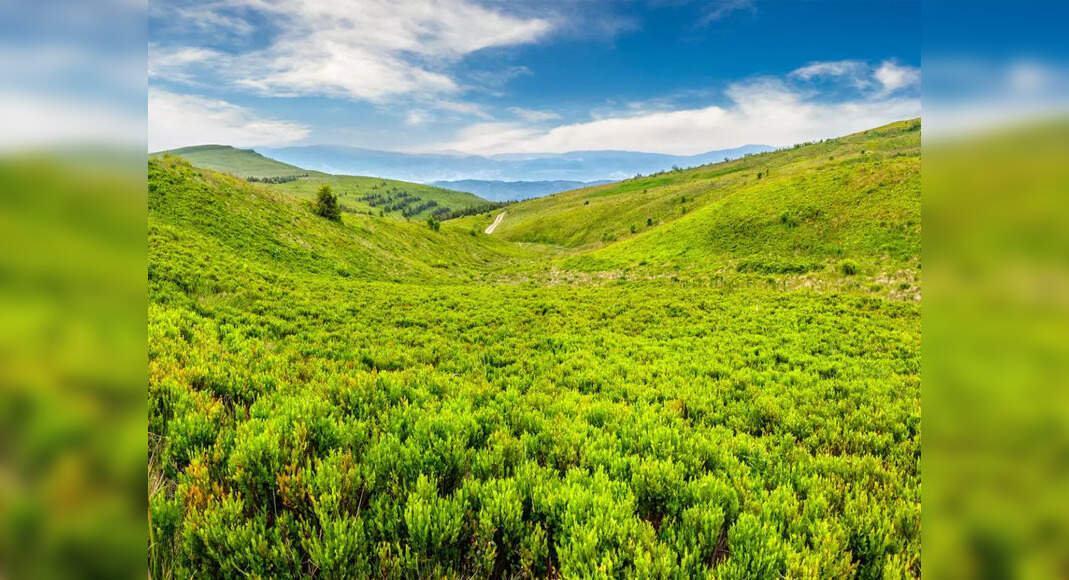 California’s Tri-Valley Instagram hotspots: A visual itinerary ...