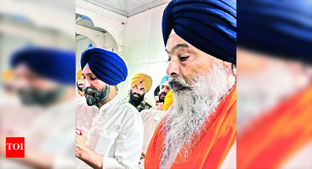 SAD: Will Start Campaign On April 21: Chandumajra | Chandigarh News ...