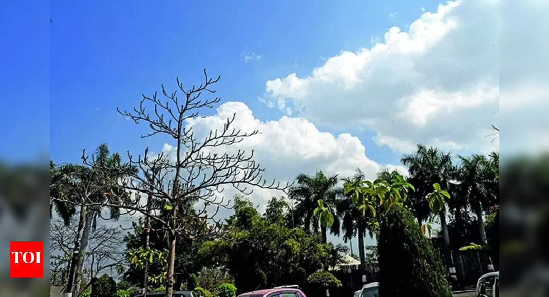 Weather Forecast: After Scattered Drizzle, Humid Weather Prevails In ...