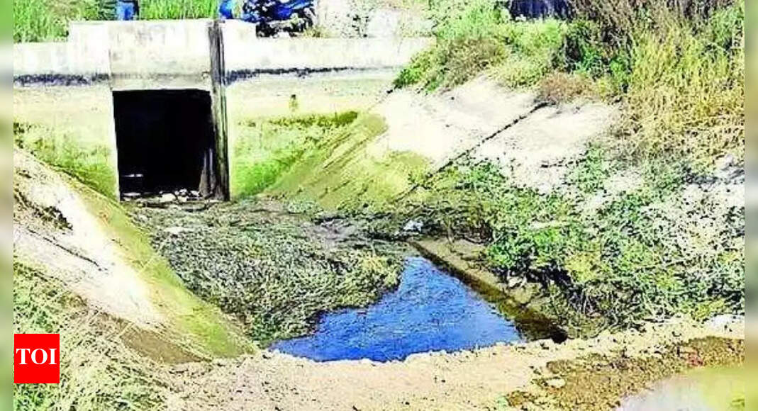 Man Kills Friend: Man Kills Friend, Mother Helps Him Dispose Of Body ...