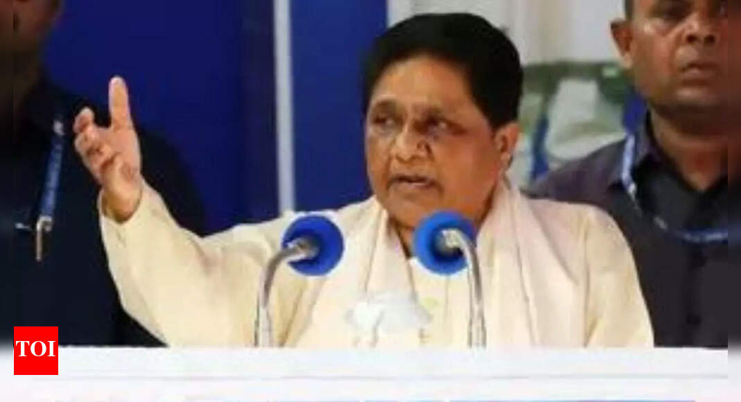 Mayawati: In Rallies, Maya Focuses On Jat-muslim Factor | Lucknow News ...