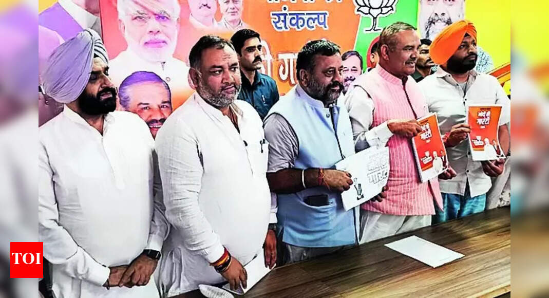 BJP Manifesto: ‘special Attention To Middle Class In Bjp’s Manifesto’ | Ludhiana News - Times of ...