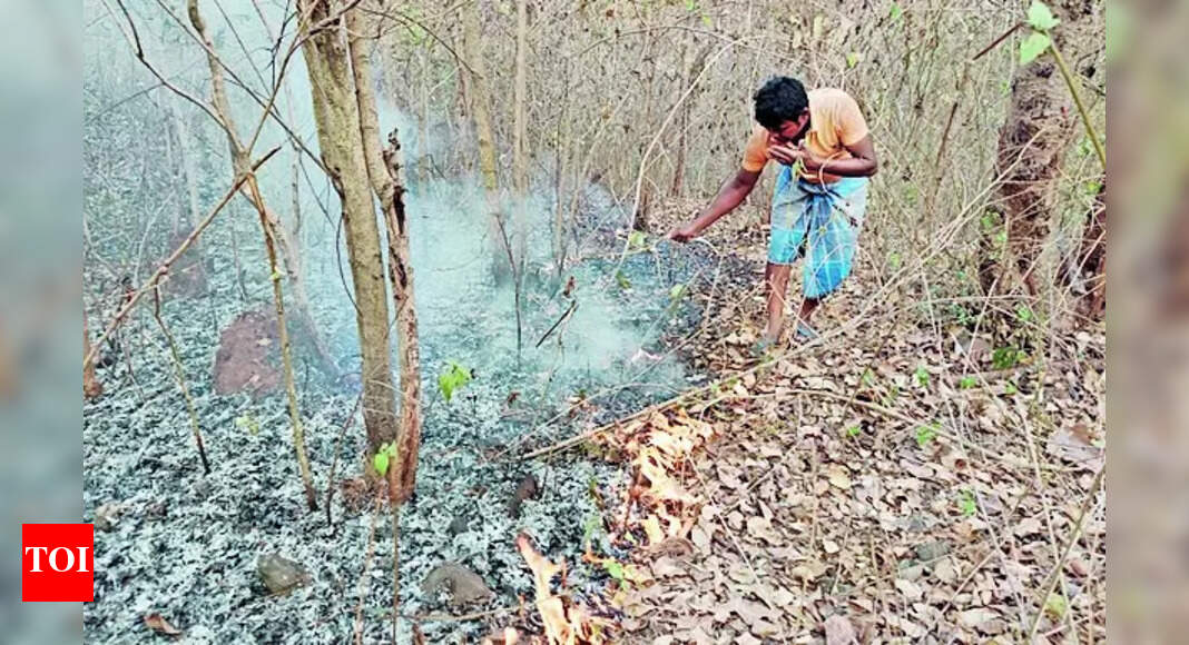 Forest Fires: Man And Machine Deployed To Avert Forest Fires In Dalma ...
