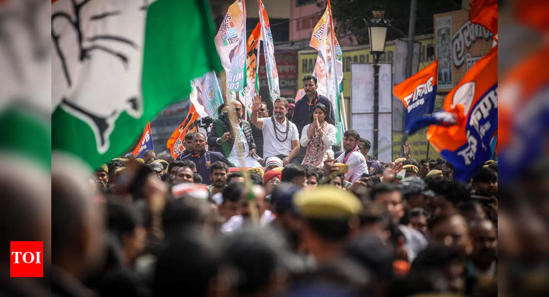 Rallies: India Bloc Set To Showcase Strength With Joint Rallies ...