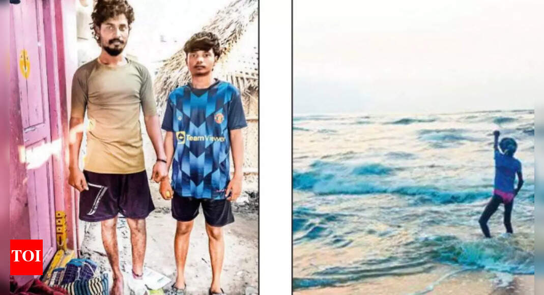 Chennai: Shark attacks fisherman 200m off Marina | Chennai News - Times ...