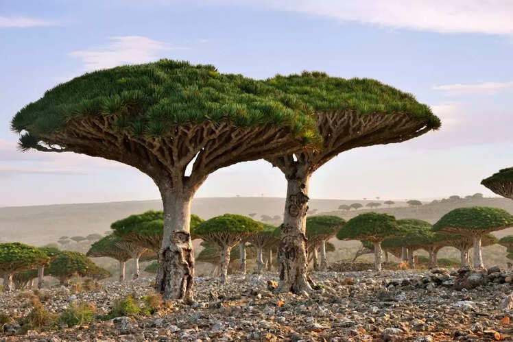 World Remote Places: World’s most remote, yet rewarding, places to ...