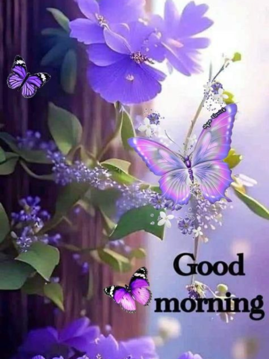 Good Morning Images With Meaningful Wishes | Times Now