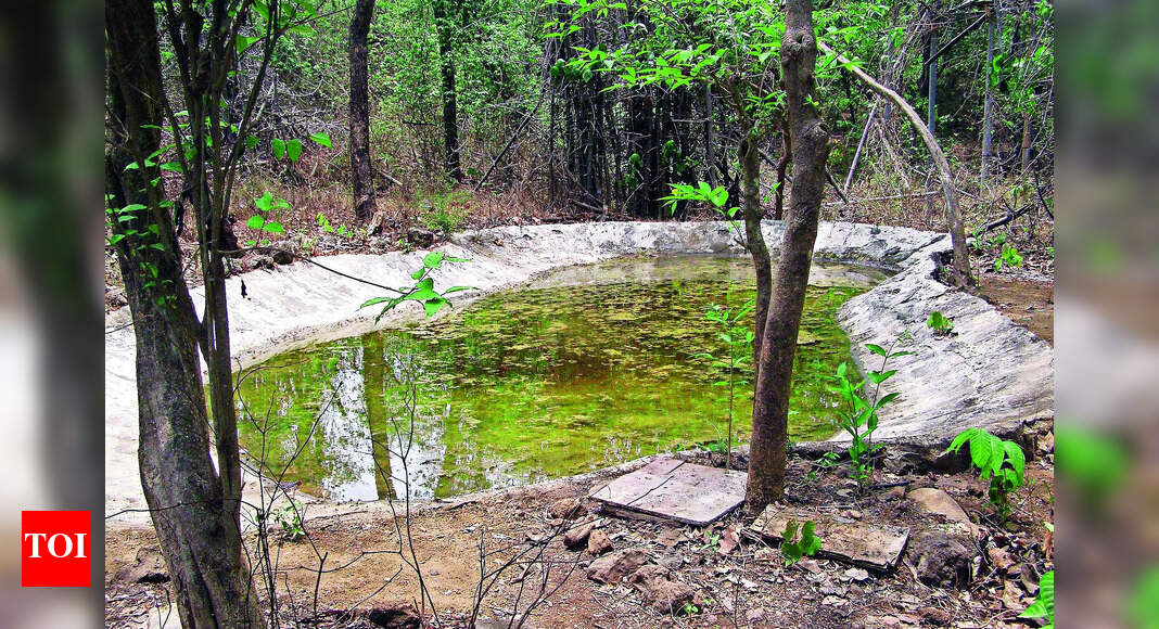 Waterholes: Junnar Forest Divn To Build 80 Waterholes In Bid To Help ...