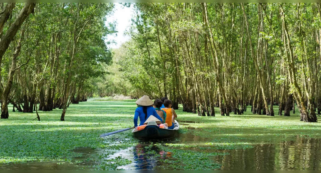 Vietnam: Understanding the wonders of the great Mekong River Delta ...